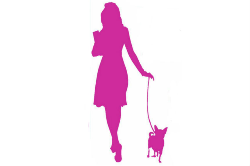 Cumbria Guide | Legally Blonde The Musical Comes To The Carnegie ... Cumbria Guide | Legally Blonde The Musical Comes To The Carnegie ...