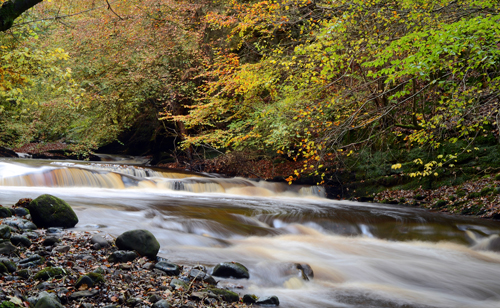 Cumbria Guide | Carrie Calvert - Photographer in Focus | Cumbria Guide