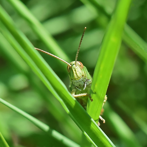 Cumbria Guide | Carrie Calvert - Photographer in Focus | Cumbria Guide