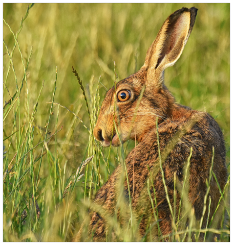 Cumbria Guide | Carrie Calvert - Photographer in Focus | Cumbria Guide