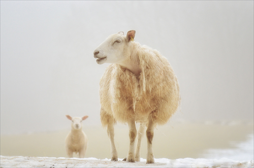Cumbria Guide | Carrie Calvert - Photographer in Focus | Cumbria Guide
