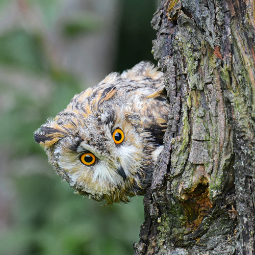 Cumbria Guide | Carrie Calvert - Photographer in Focus | Cumbria Guide