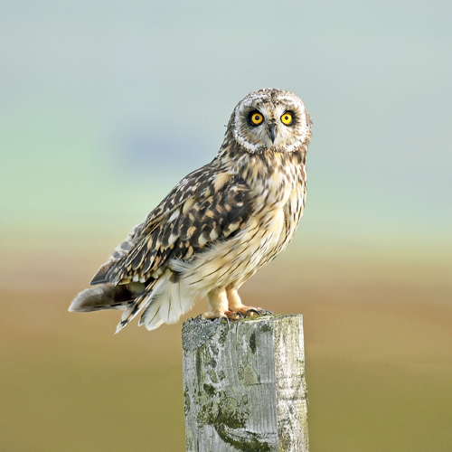 Cumbria Guide | Carrie Calvert - Photographer in Focus | Cumbria Guide