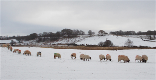 Cumbria Guide | Carrie Calvert - Photographer in Focus | Cumbria Guide