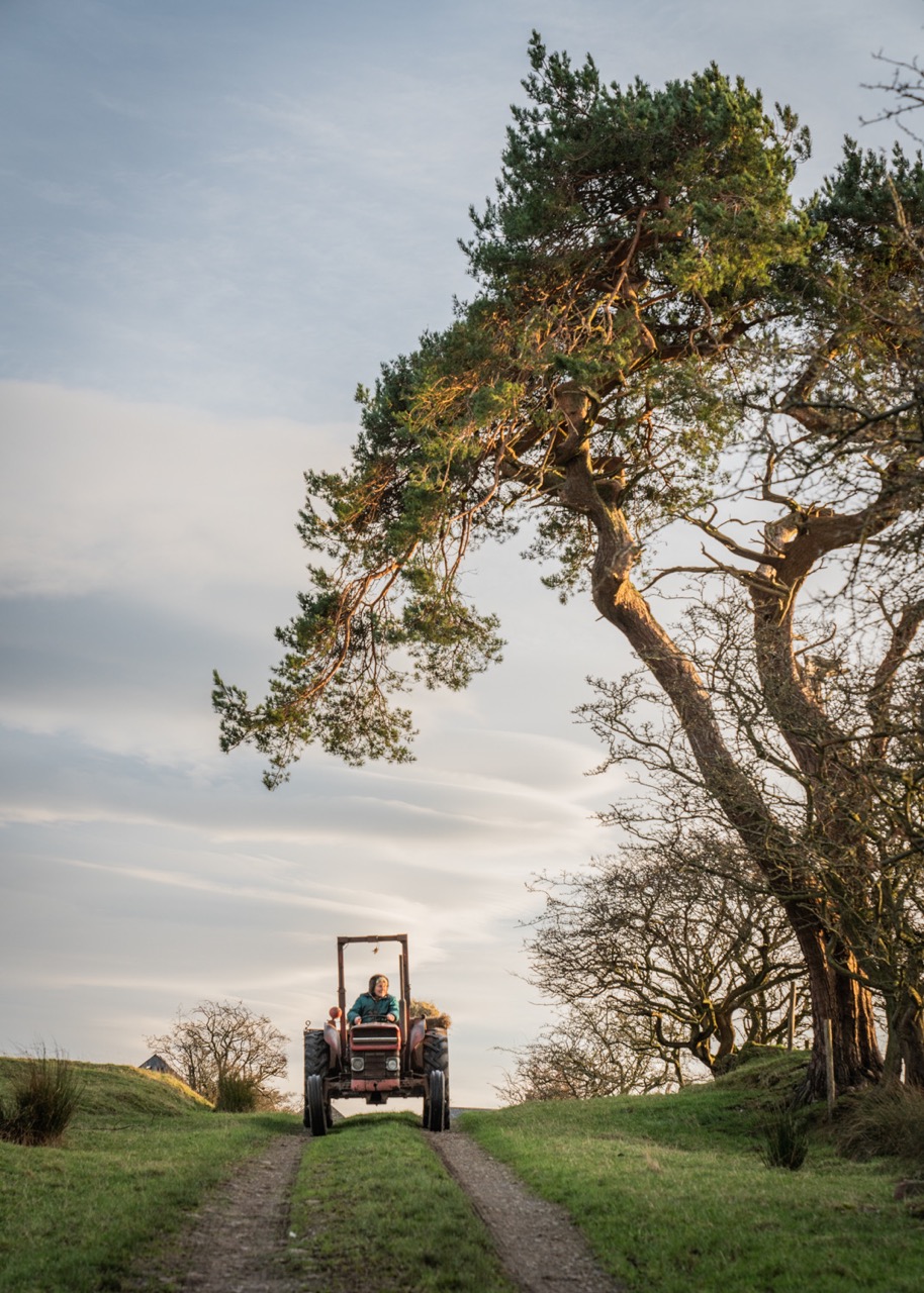 Cumbria Guide | Forty Farms Installed on the Farm | Cumbria Guide