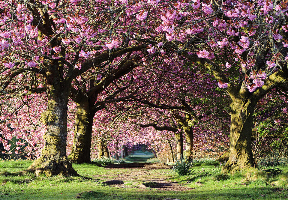 Cumbria Guide | Colourful Cumbria: In Your Pictures... | Cumbria Guide