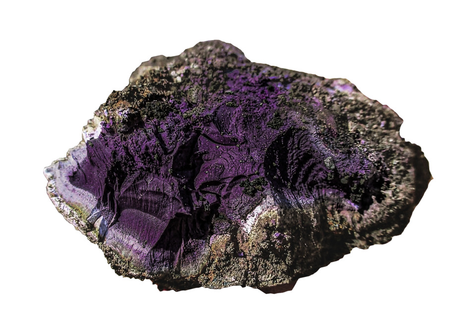 Cumbria Guide | Rare Roman discovery found in Carlisle | Cumbria Guide