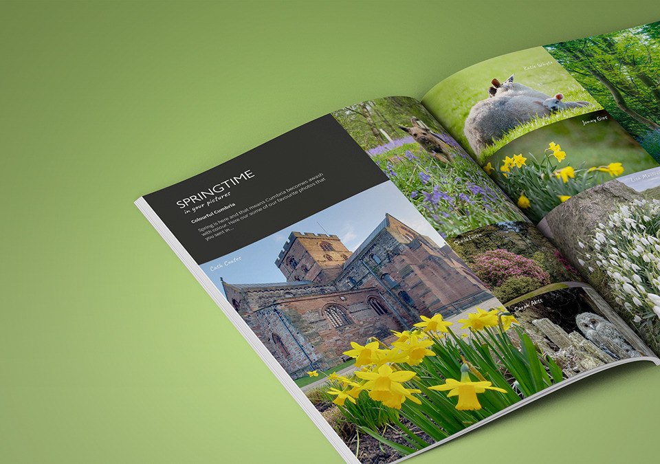 Cumbria Guide | Cumbria in colour! Springtime: in your pictures ...