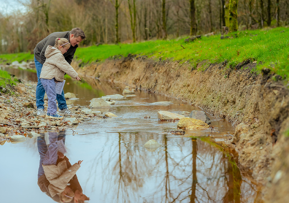 Cumbria Guide | Exploring Walkmill Community Woodland | Cumbria Guide
