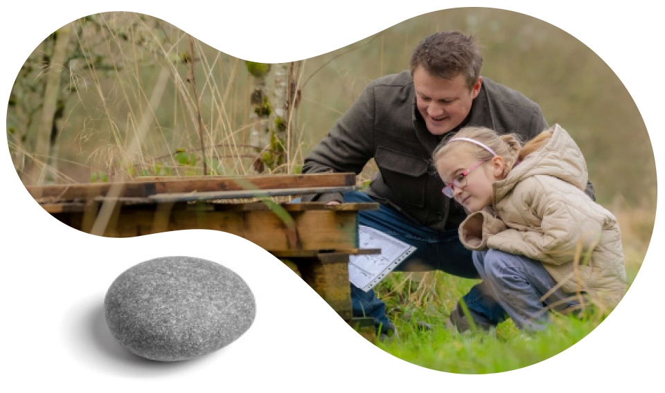 Cumbria Guide | Exploring Walkmill Community Woodland | Cumbria Guide
