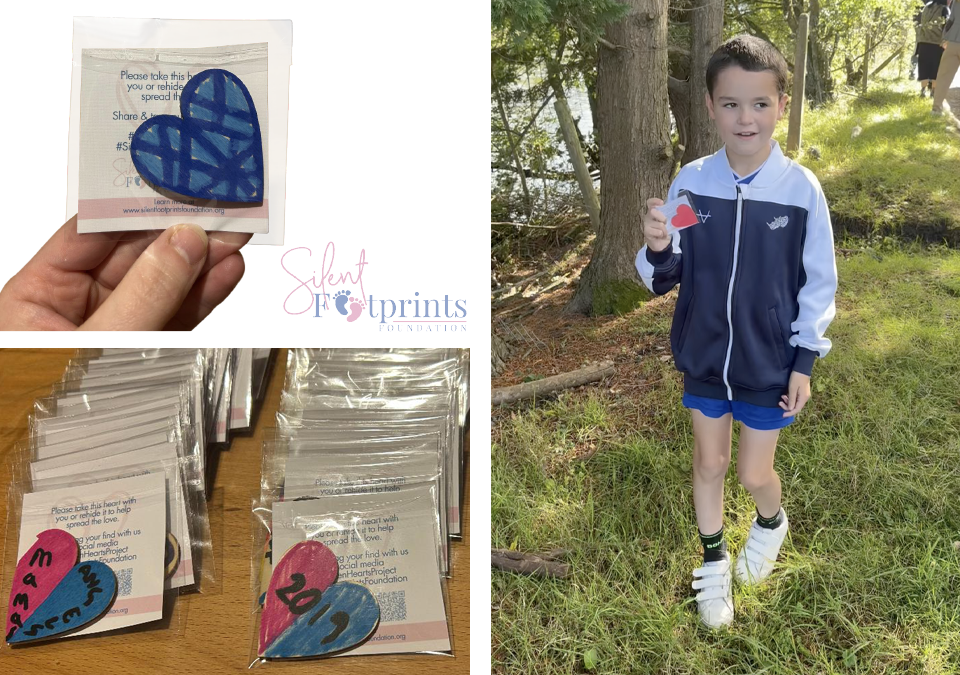 Cumbria Guide | Silent Footprints Foundation launches Hidden Heart ...