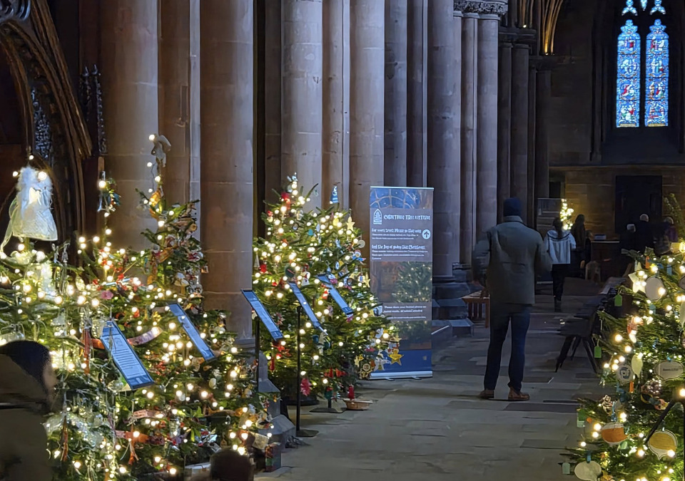 Cumbria Guide | Carlisle Cathedral launched their Christmas Tree ...